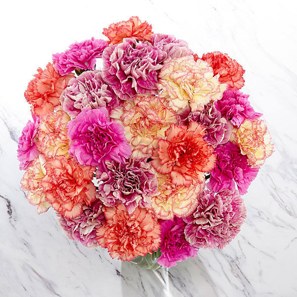Carnations Assorted Bouquet | a13644